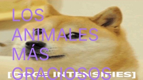 MEMES TOP 10 AL 1 PARA PARTIRSE DE RISA | Genially