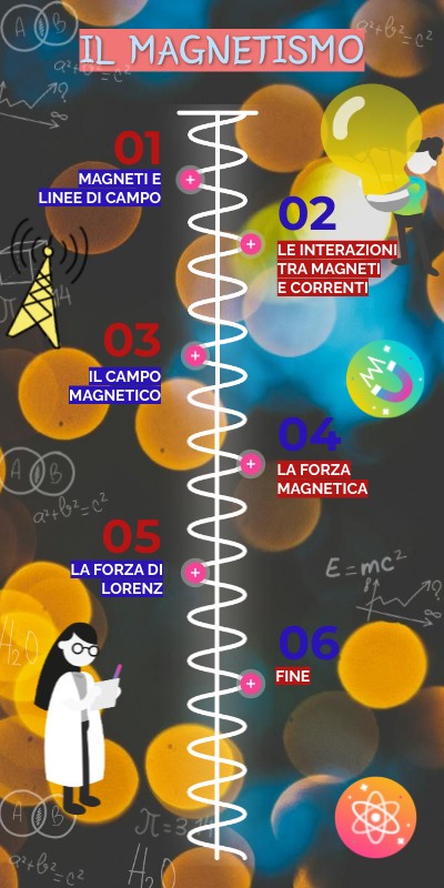 IL MAGNETISMO
