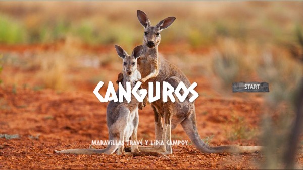 presentación canguros | Genially