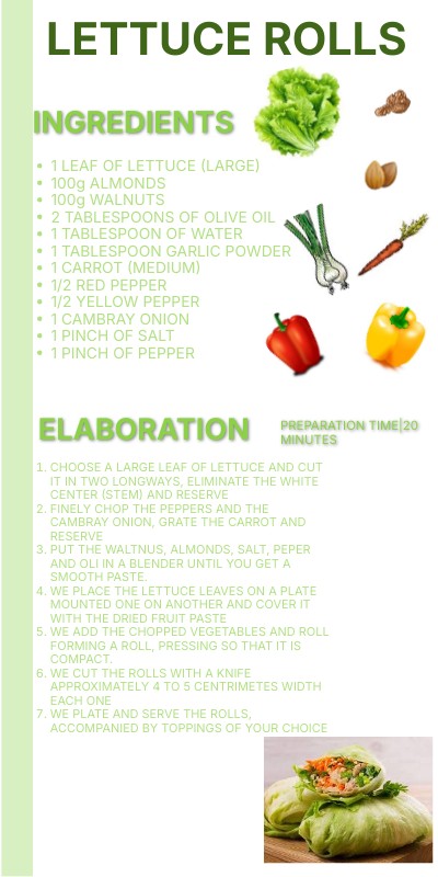 LETTUCE ROLLS 1° IV