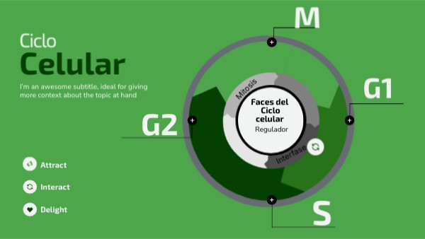 Diagrama Ciclo celular | Genially