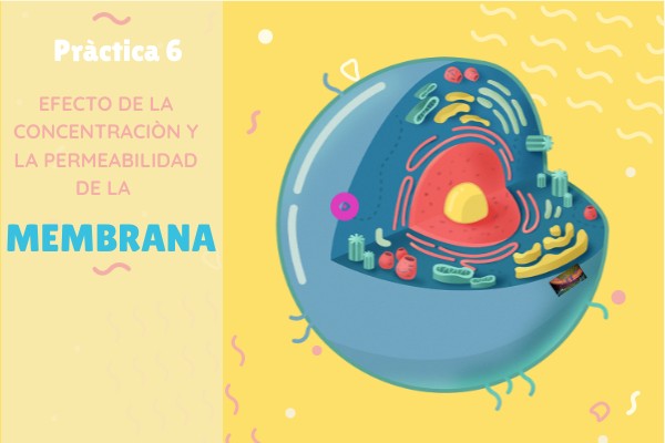 PRACTICA 6, E:05 | Genially