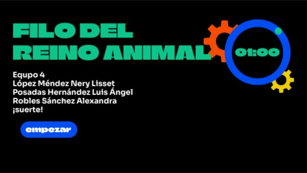 Características: filo del reino animal