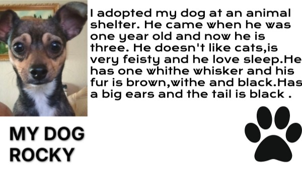 my dog