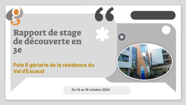 Rapport de stage | Genially