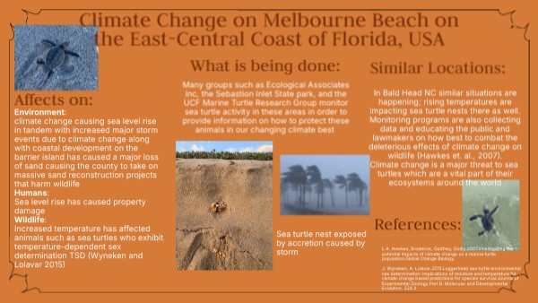 India Horizontal Infographic