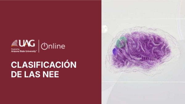 Clasificación de las nee