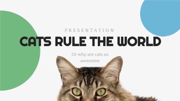 Cats rule the world