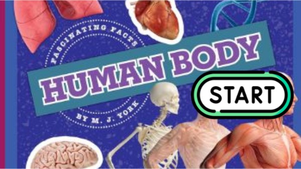 The human body | Genially