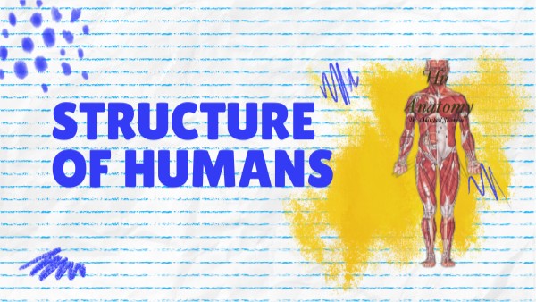 STRUCTURE OF HUMANS