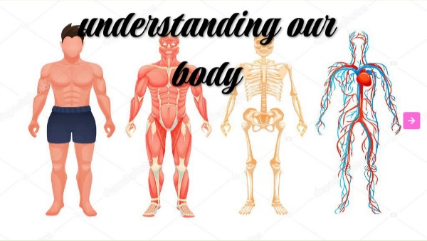 Understanding our body. | Genially