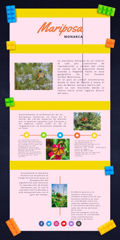 Infografía Mariposa Monarca | Genially