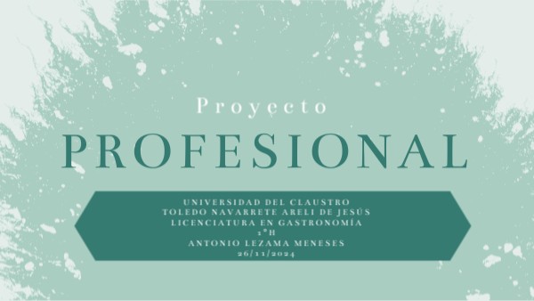 MI PROYECTO PROFESIONAL