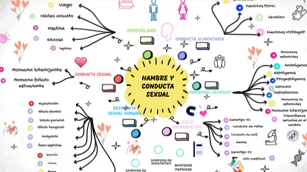 Mapa conceptual ilustrado