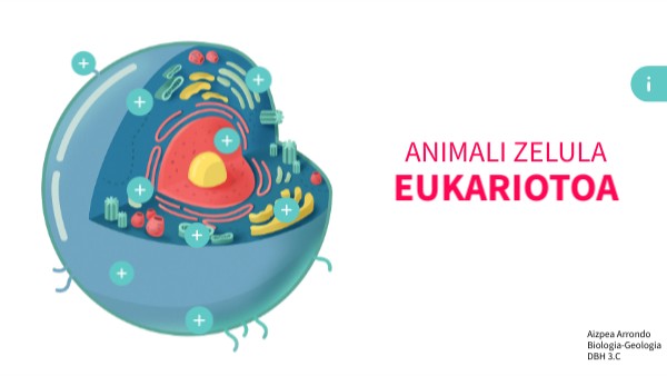 ANIMALIA ZELULA EUKARIOTOA