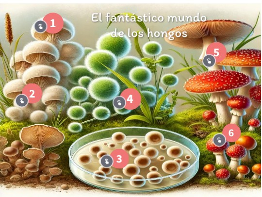 El fantástico mundo de los hongos | Genially