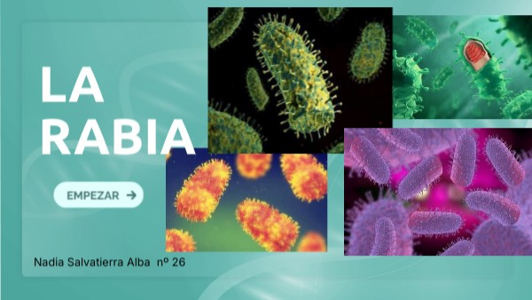 PRESENTACIÓN VIRUS LA RABIA | Genially