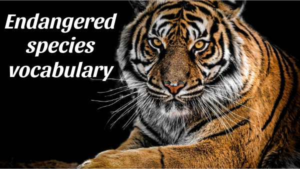 3ESO ENDANGERED SPECIES VOCAB | Genially