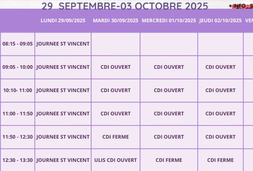 Weekly Lesson Planner | Genially