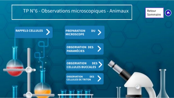 6eme - TP 6- microscope animaux | Genially