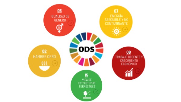 Práctica Sostenibilidad 2 (ODS) | Genially
