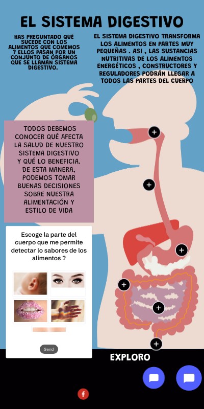 INFO VERTICAL DIGESTIVO | Genially