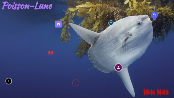 Le Poisson-Lune | Genially