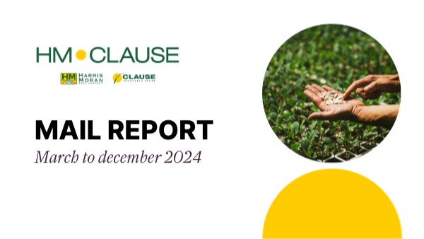 Mailing report | Genially