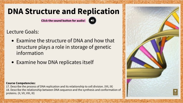 IP Week 11: DNA Structure & Replication | Genially