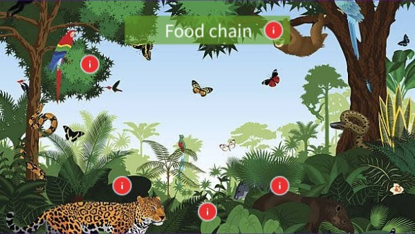 Food chain - Interactive image | Genially