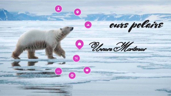 ours polaire | Genially