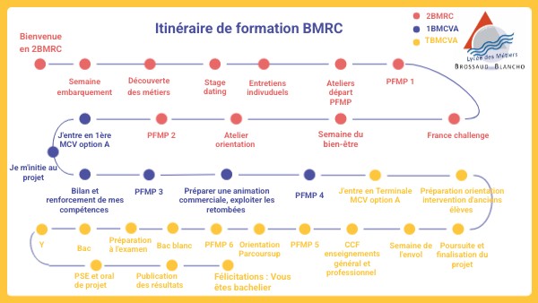 Itinéraire de formation BMRC | Genially