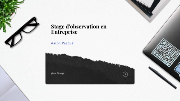 Stage d'observation enEntreprise | Genially