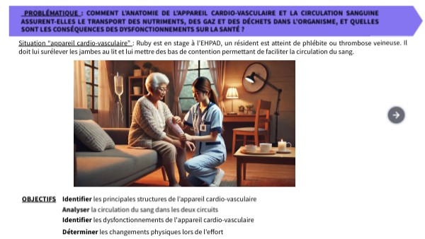 2SAP cardio-vasculaire | Genially