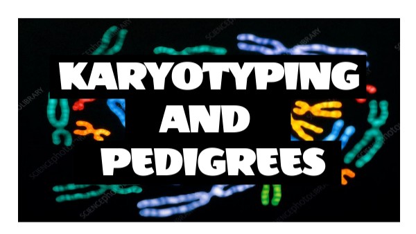 Week 7 T1/T2 | Genially