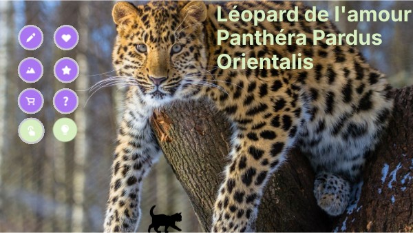 Léopard de l'amour Panthéra Pardus Orientalis | Genially