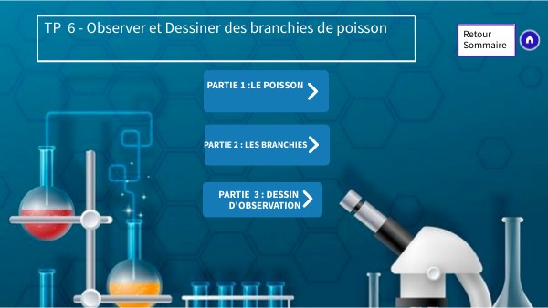 5eme - chapitre 3 - TP branchies | Genially