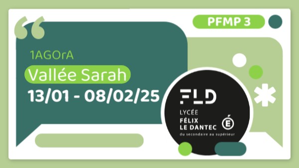 PFMP 3 13/01/25-08/02/25 | Genially