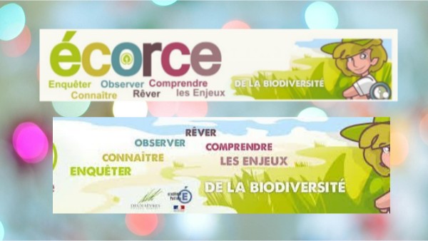 ECORCE première rencontre 7 janvier 2025 | Genially
