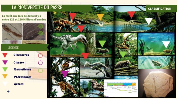 La Biodiversité du Passé | Genially