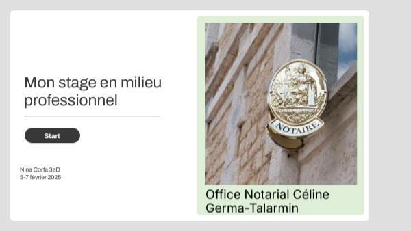 Mon stage en milieu professionnel | Genially