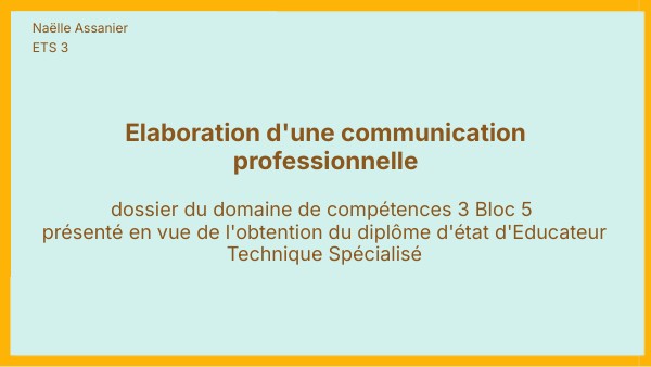 Elaboration d'une communication professionnelle | Genially