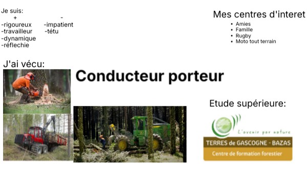 Conducteur porteur | Genially