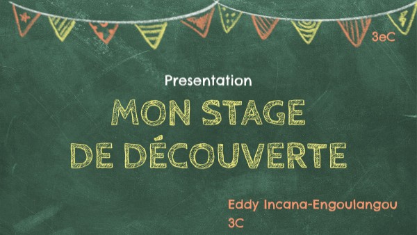 mon stage de découverte | Genially