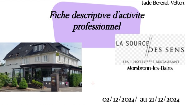 Fiche descriptive d'activite professionnel | Genially