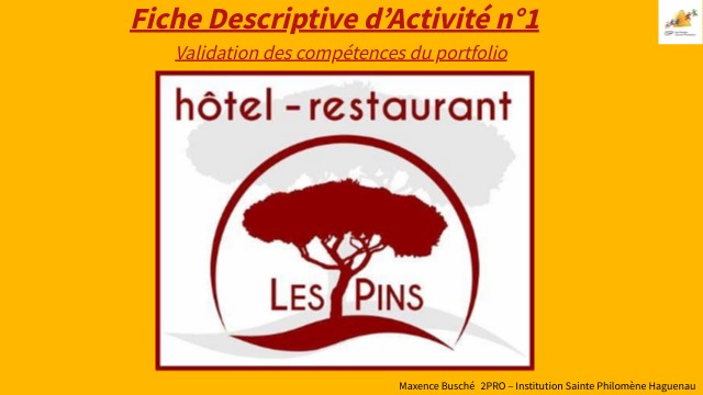 Fiche Descriptive d’Activité n°1 | Genially