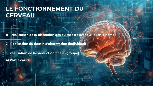 Le fonctionnement du cerveau | Genially