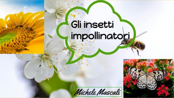 Gli insetti impollinatori | Genially
