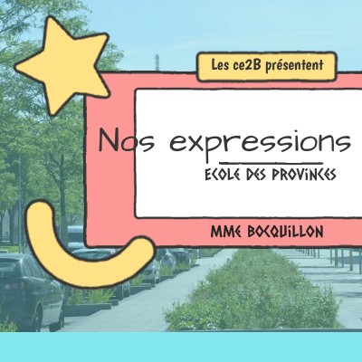 Nos expressions ch'ti | Genially