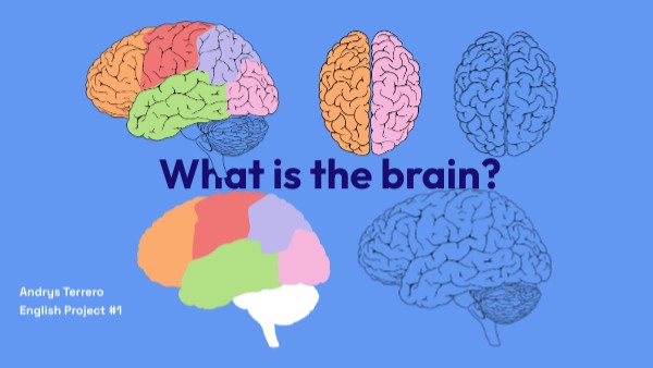 The brain--ENGL PROJECT | Genially